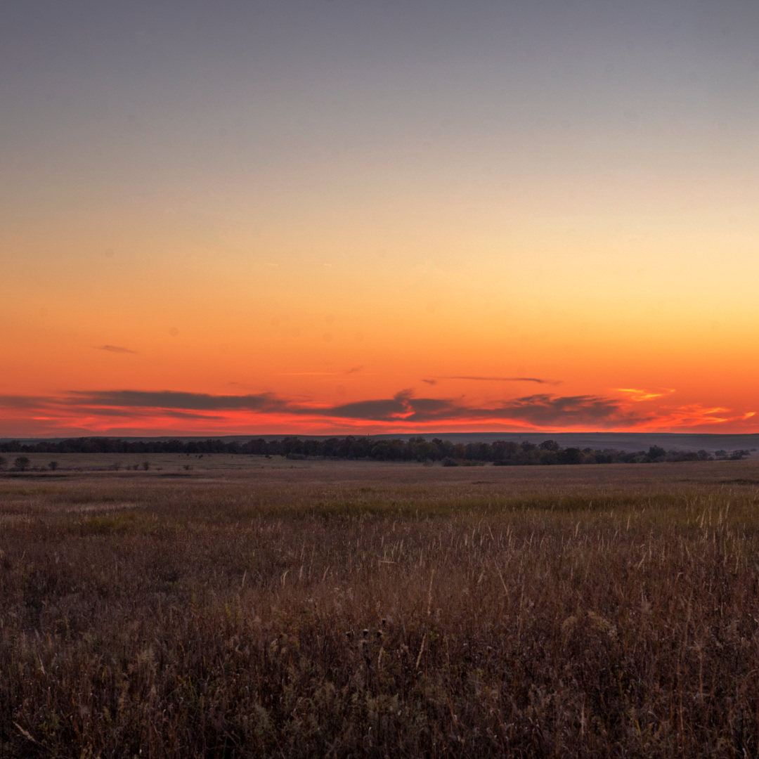 Heartland Heartland